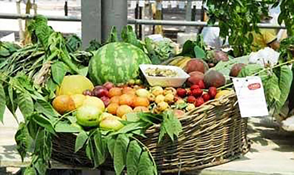 In arrivo l-Imnarja, l’evento che celebra tradizione e cultura maltesi ...