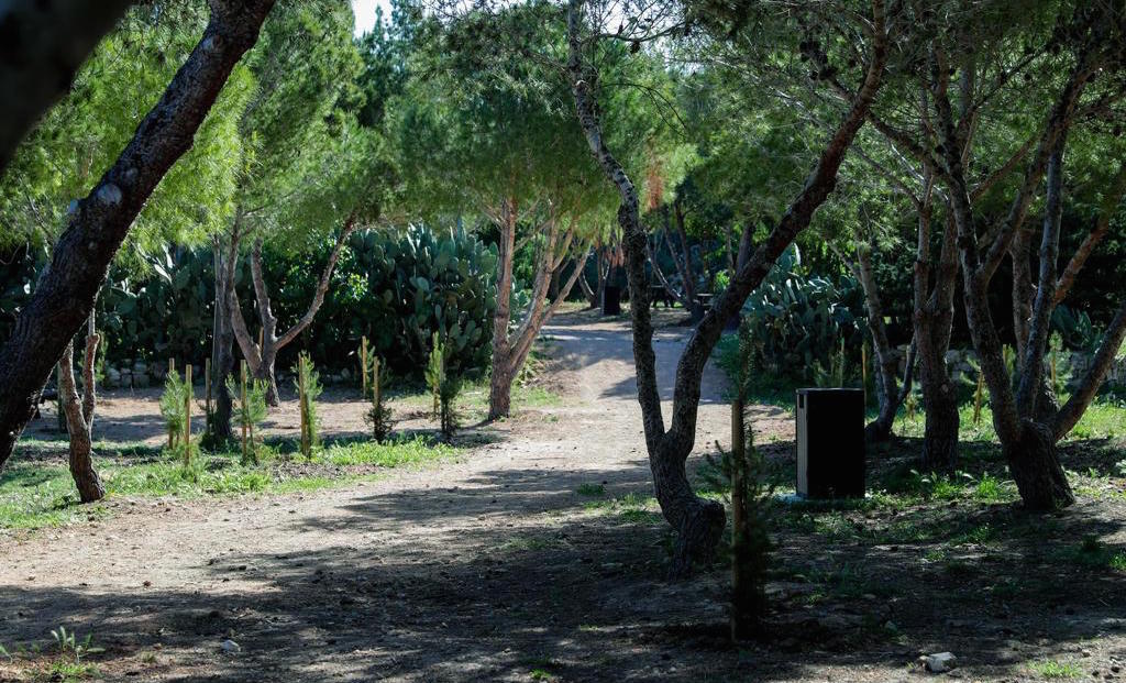 Project Green inaugura il primo “Green Open Campus” del Paese: 7.400 ...