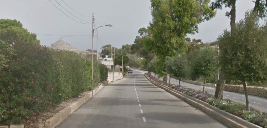 Centinaia di alberi saranno sradicati dalla strada che collega Victoria ...