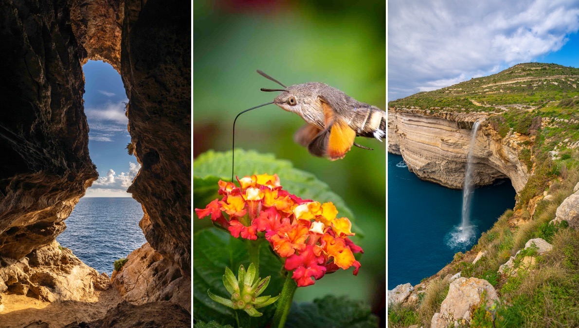 A Valletta “Intrinsic Malta”, la prima mostra personale del fotografo ...